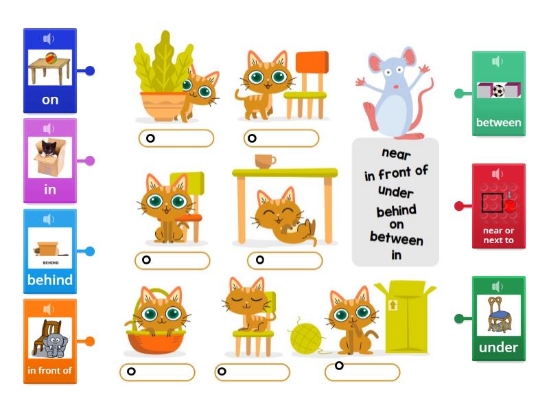 Kitten prepositions - Labelled diagram