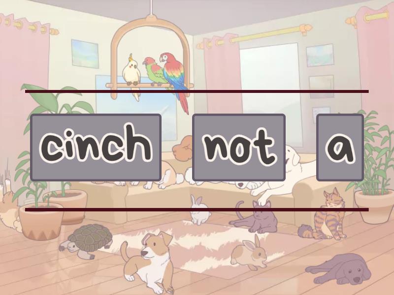 Fundations Level 3 Unit 12 Phrase (Weeks 1 & 2) - Unjumble