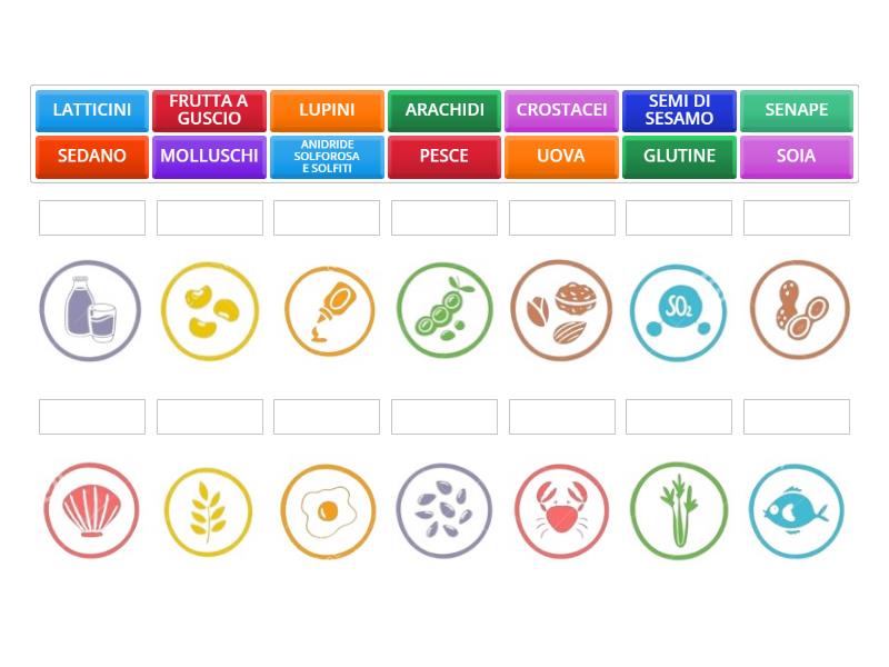 ALLERGENI memory - Match up