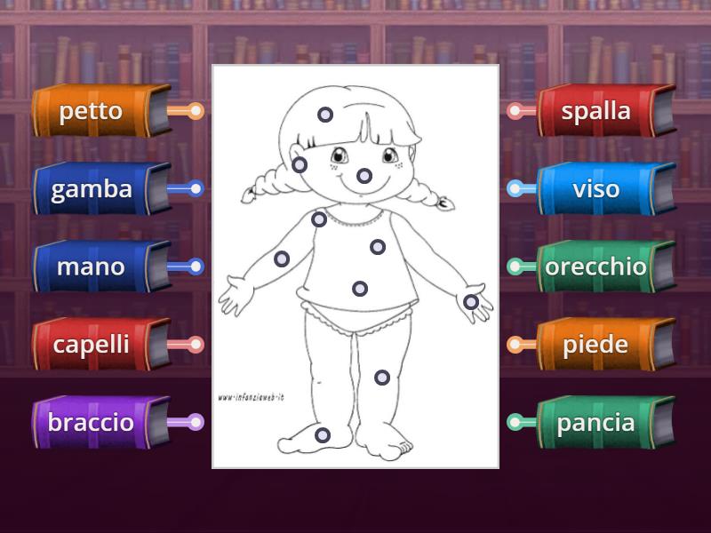 Le parti del corpo - Labelled diagram