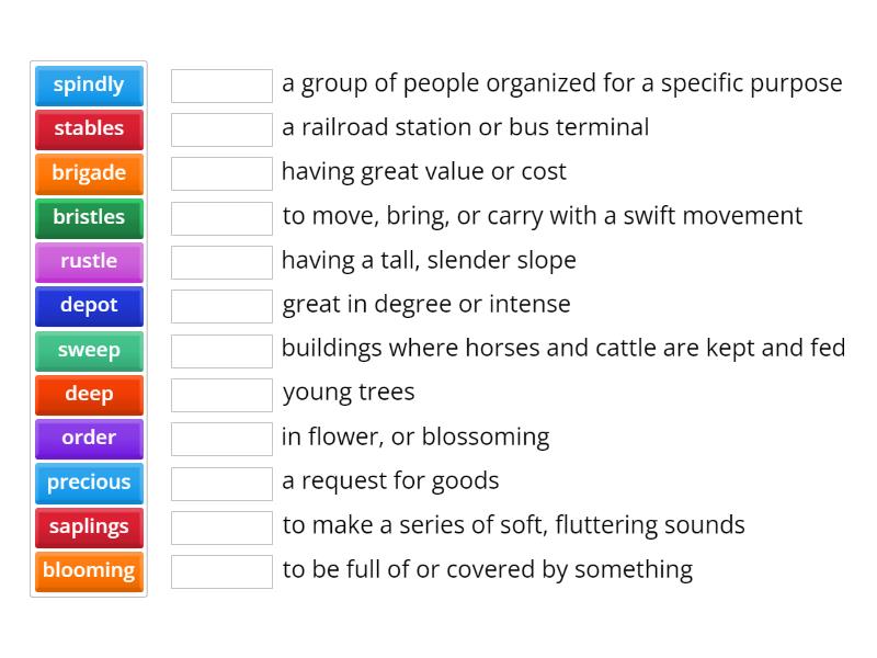 Unit 3 Week 6 - Vocabulary - Match up