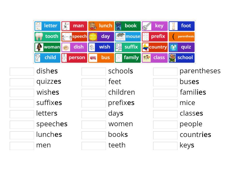 Singular and plural nouns - Match up