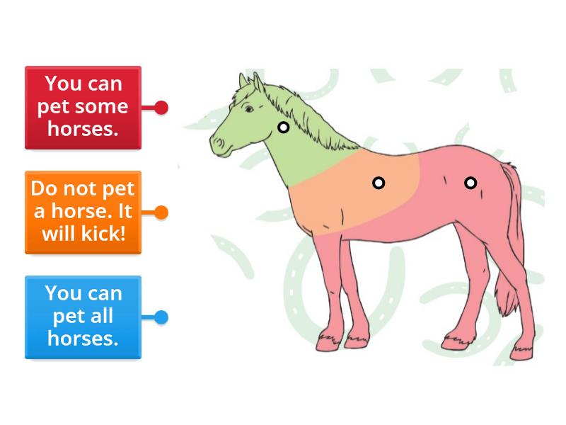 How to pet a horse - Labelled diagram