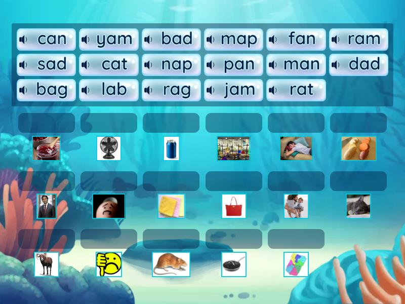 Short a cvc - Match up