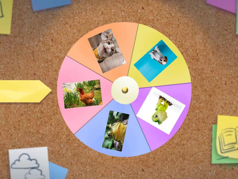 JOGO DA GIOVANA - Random wheel