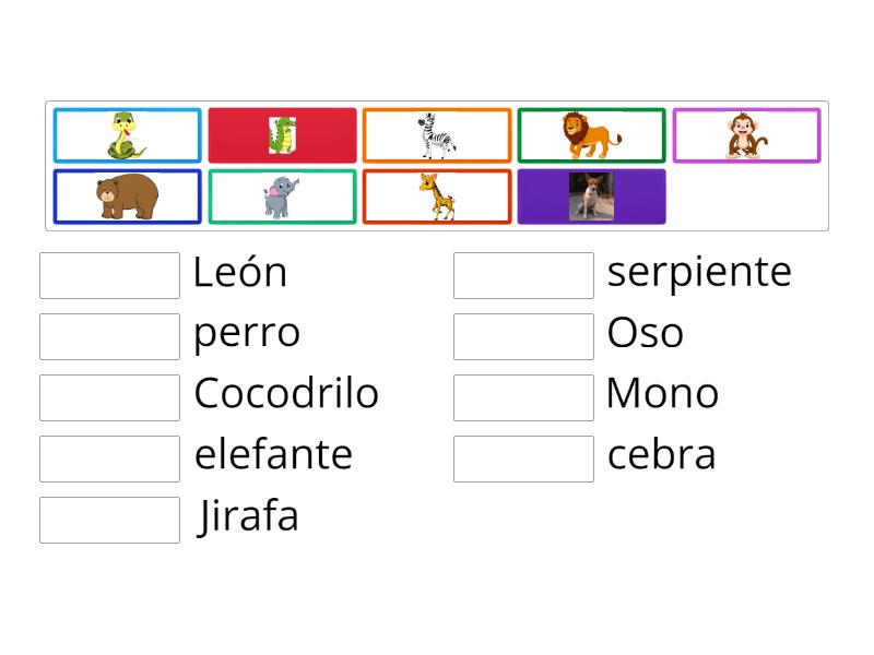 Los animales - Match up