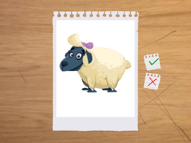 Bulat characters - Flash cards