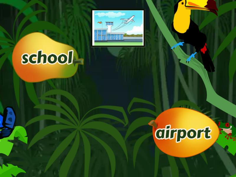 FF2 Unit 9 Flashcards 1 - Flying fruit