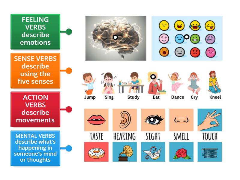 Types of Verbs - Labelled diagram
