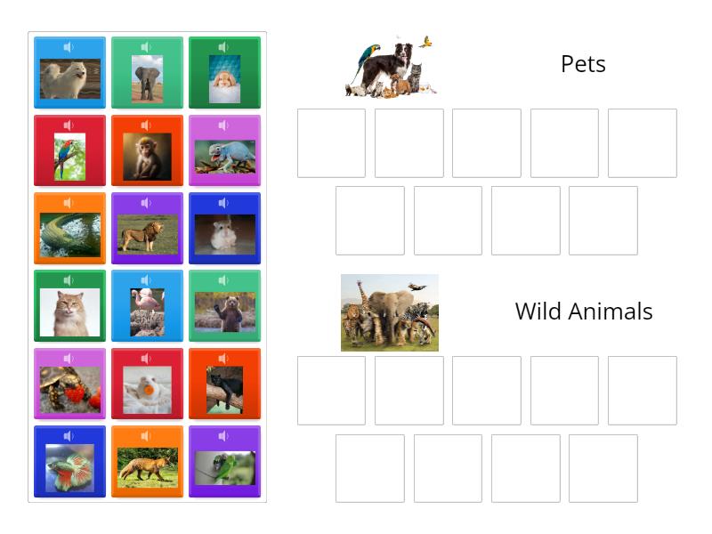 Pets vs Wild Animals - Group sort