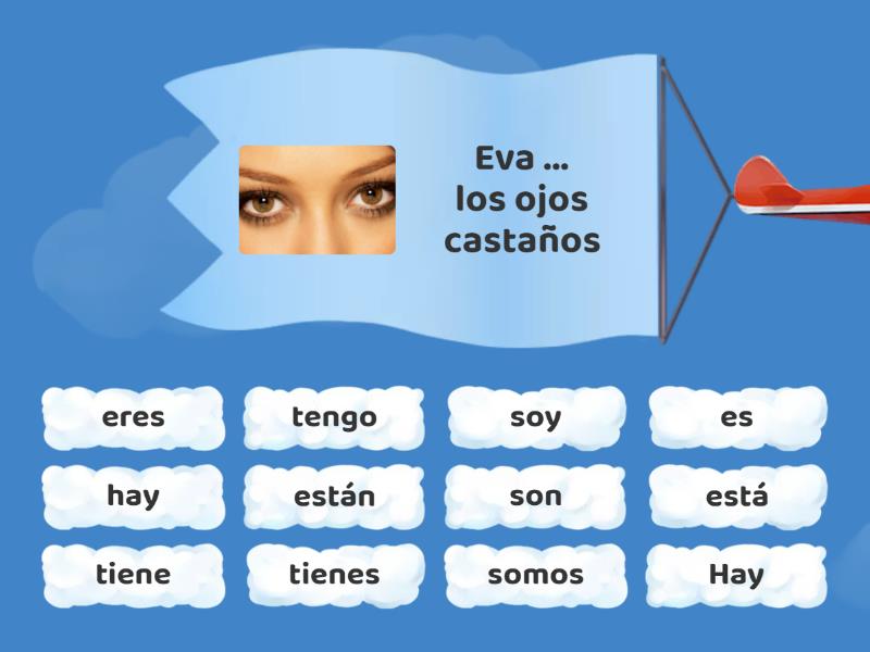 Ser/estar/tener/hay - Cada oveja con su pareja