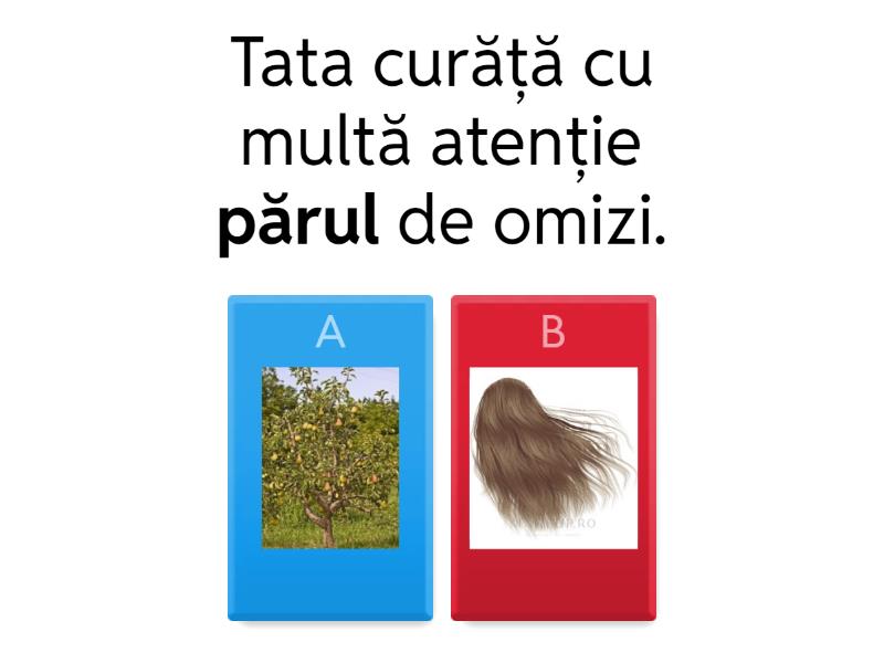 Omonime 2 clasa IV - Quiz