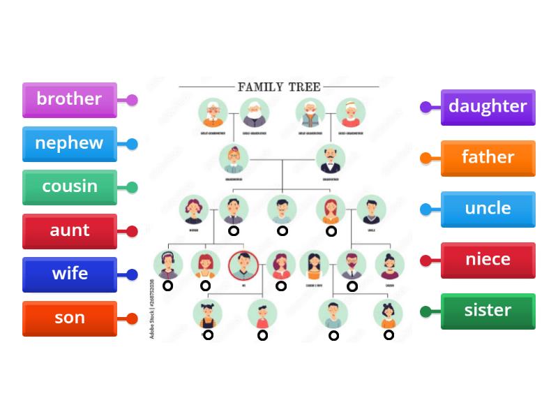 Family Tree - Labelled diagram