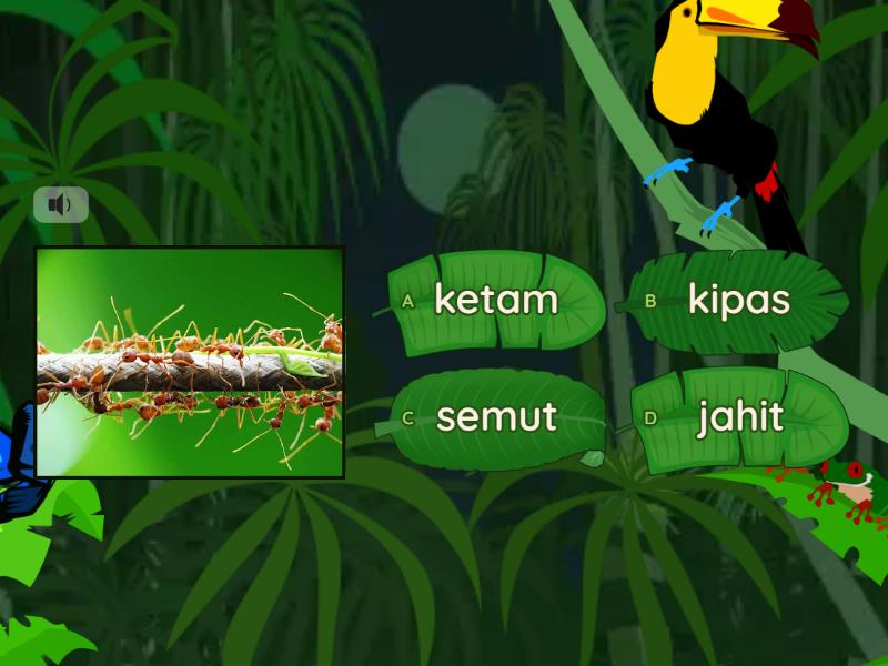 K11 Perkataan KV KVK - Quiz