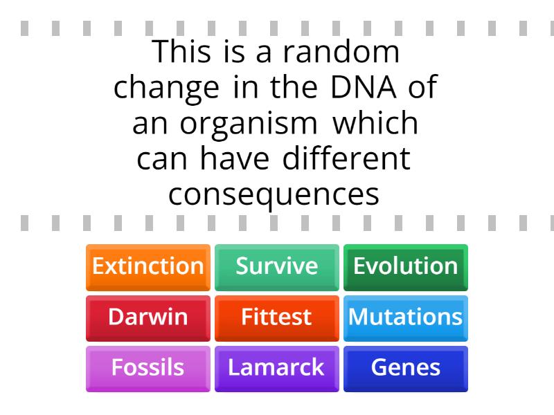 AW 9 Natural selection, mutations and extinction - Find the match