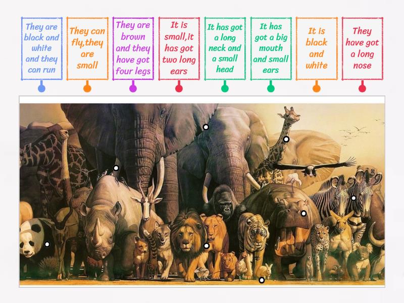 KB1 Unit 7 What animal is it? It has got/ They have got - Labelled diagram