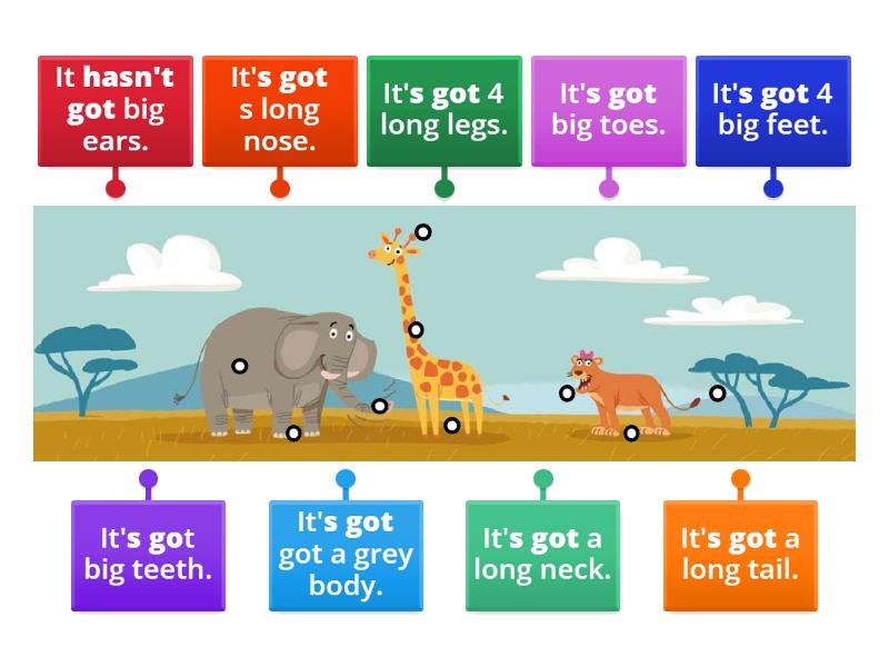 animals + has got + body parts - Labelled diagram