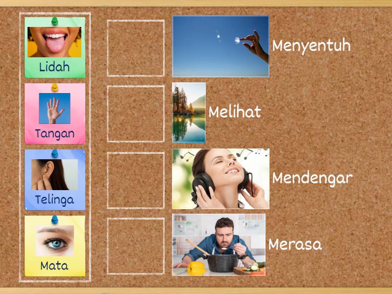 Padankan anggota badan mengikut deria rasa yang sesuai - Match up