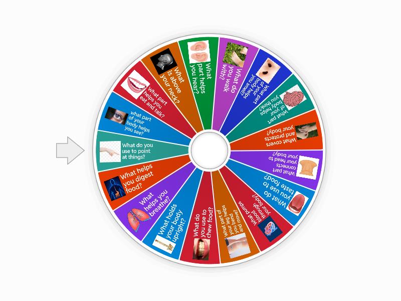 UNIT 3: Health and Welfare (Body parts) - Spin the wheel