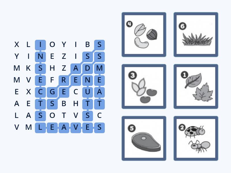 Animal food - Wordsearch