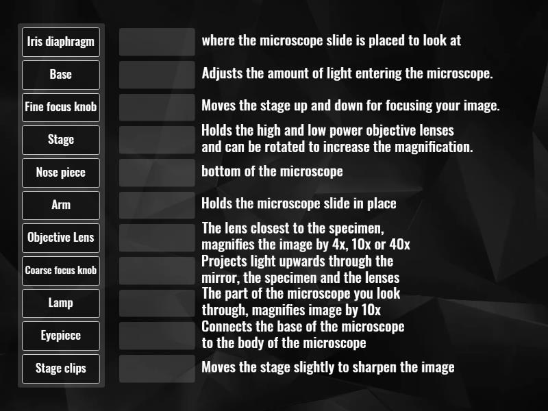 Microscope Parts Match - Match up