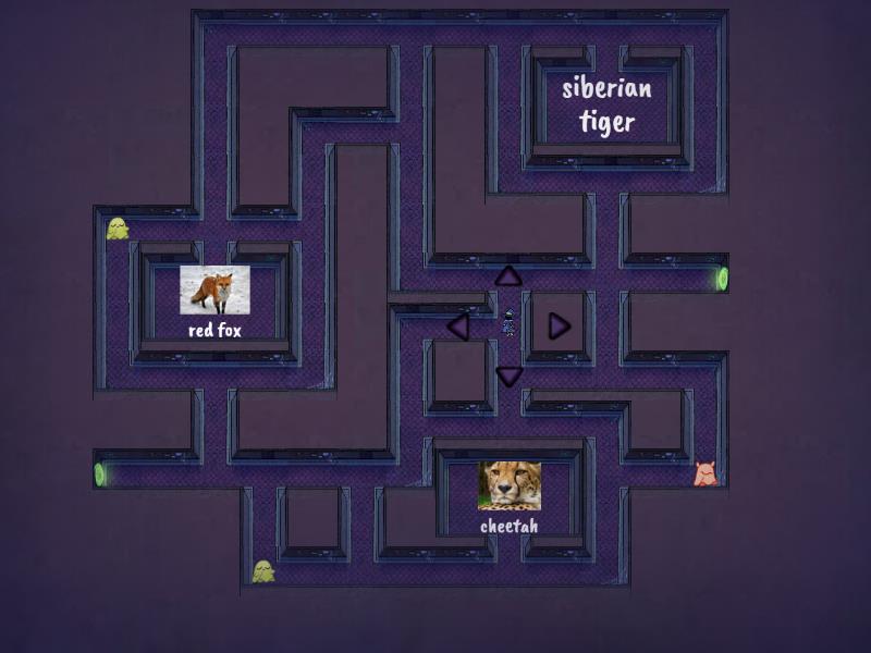 characteristics about animals - Maze chase