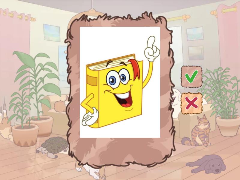 School supplies - Flash cards