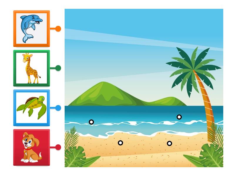 Land and sea animals - Labelled diagram