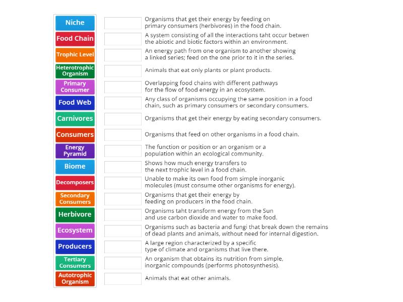 Energy Flow Vocabulary - Matching - Une las parejas