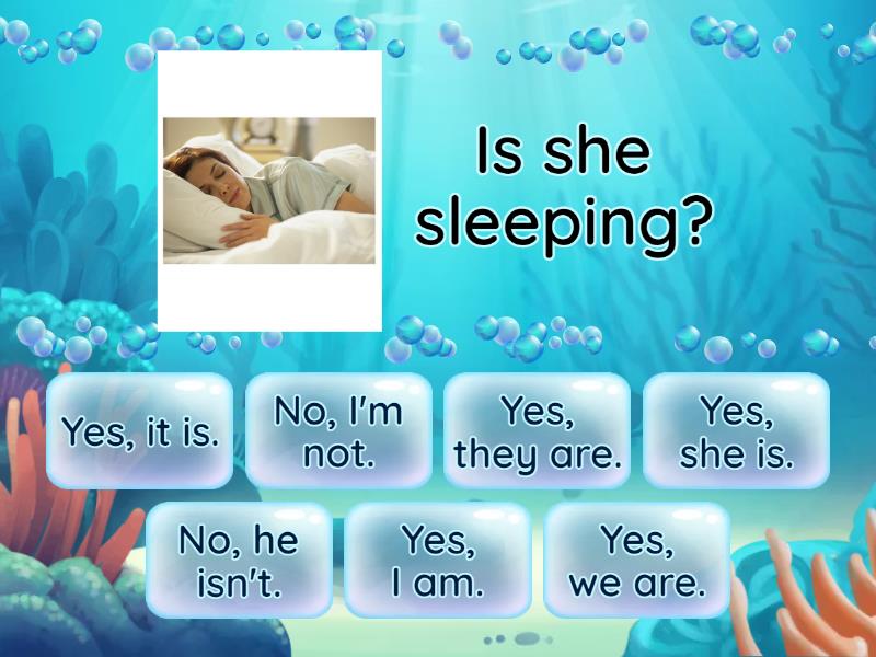 Questions and Answers in Present Continuous FF3 Unit 5 - Cada oveja con su pareja