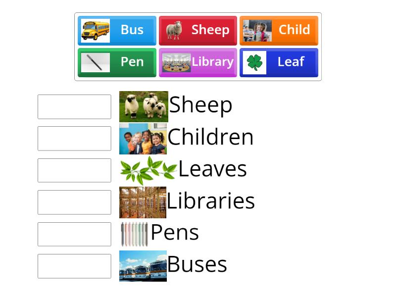 PLURAL NOUNS - Match up
