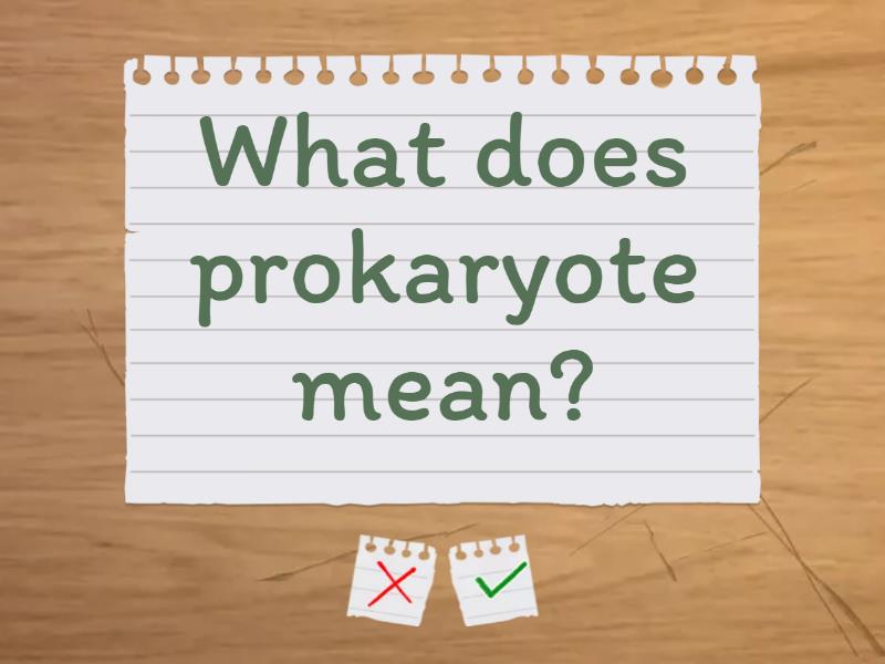 Paige Science Notes - Flash cards