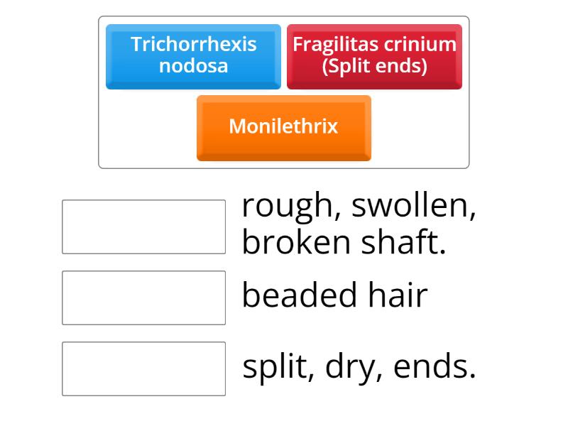 Hair conditions - Match up