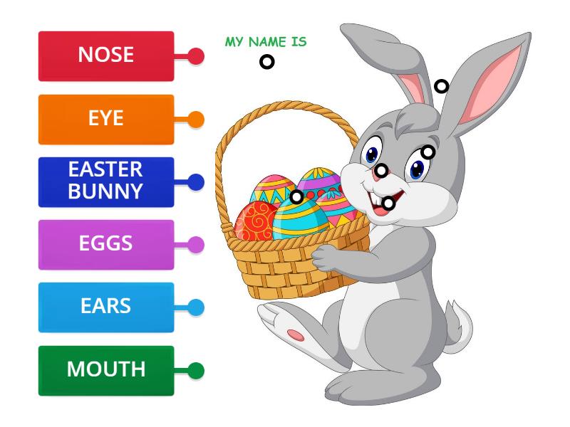 Maestra Sara EASTER BUNNY BODY PARTS - Labelled diagram