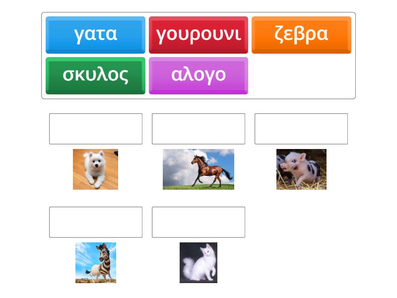 μαθαινωντας τα ζωακια - Match up