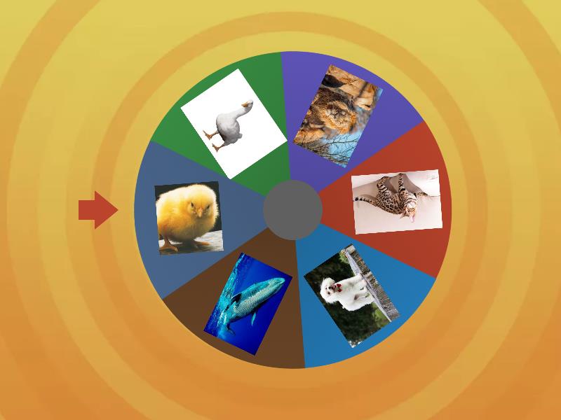 Imitando Sonidos - Rueda aleatoria