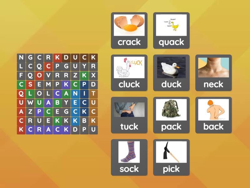 Final ck/Spelling - Wordsearch