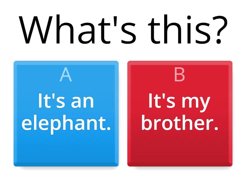 What / Who questions - Quiz