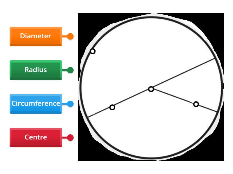 Parts of a circle Activity - Labelled diagram