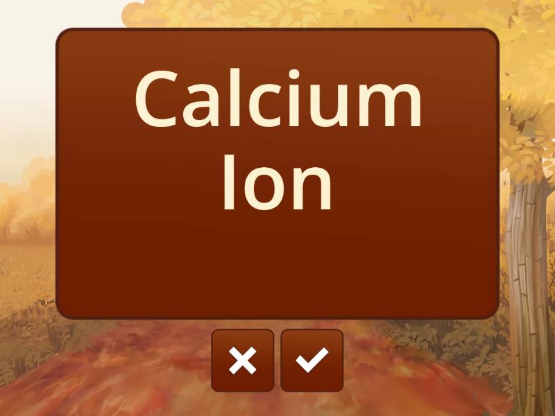 Formulae of Common Ions - Flash cards