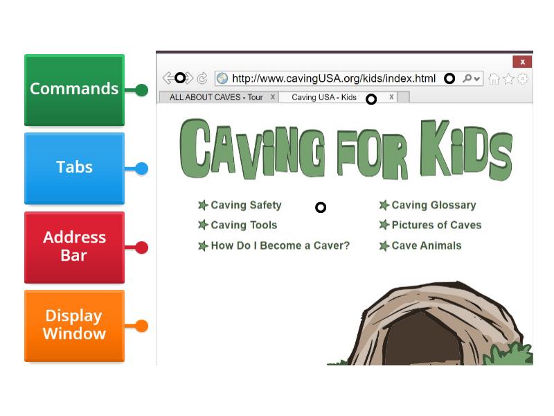 PYP 6 - Web Browsers - Labelled diagram
