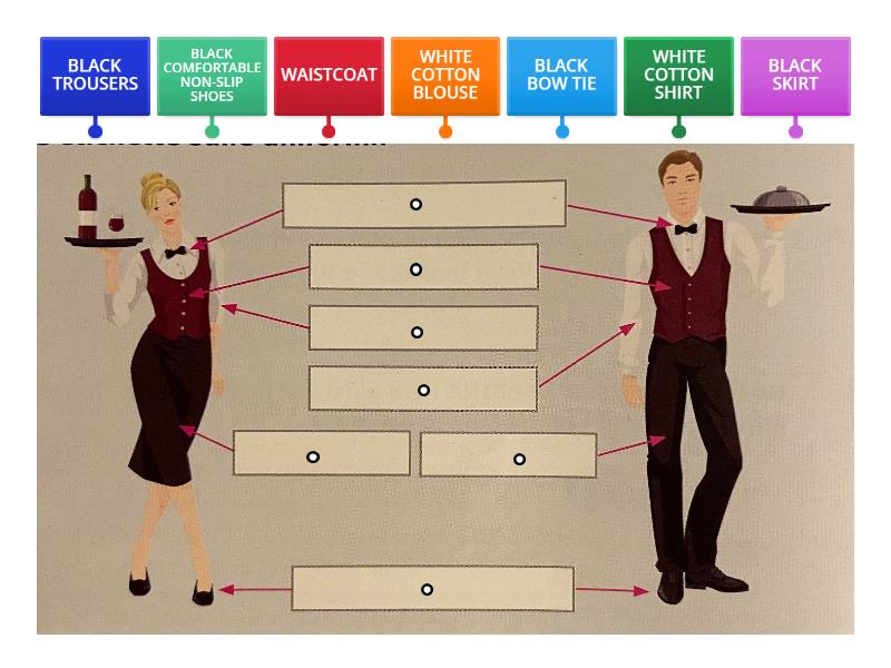 THE UNIFORM (waiter/waitress) - Labelled diagram