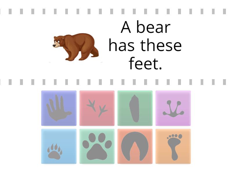 RAZ-feet - Find the match