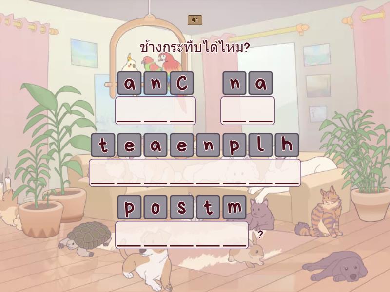 Animal actions - can/can't questions 1 - Anagram