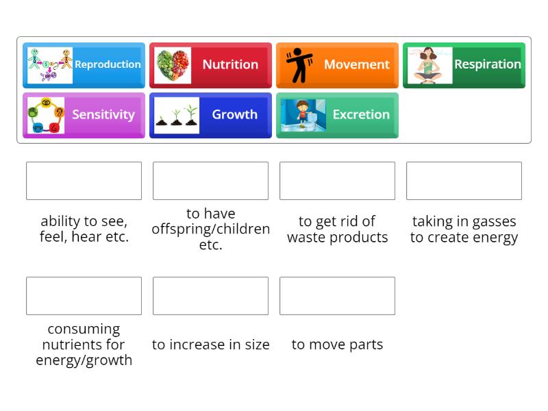 Life Processes Definition Match Match Up