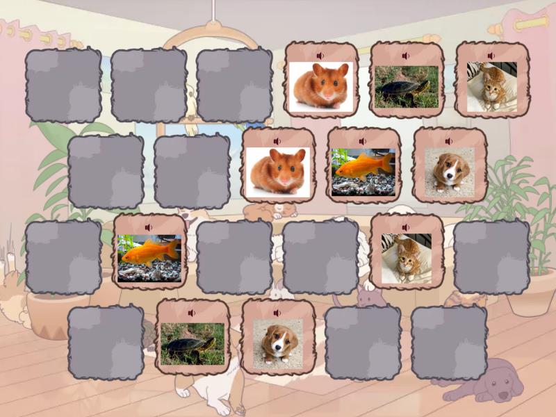 pets - Matching pairs