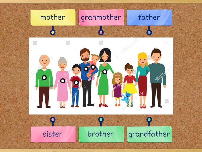 Family - Labelled diagram