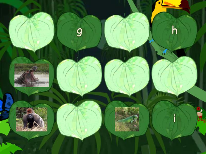 Wild Animal Matching Game - Matching pairs