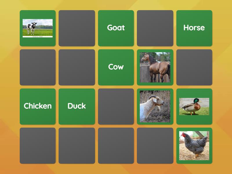 Farm - Matching pairs