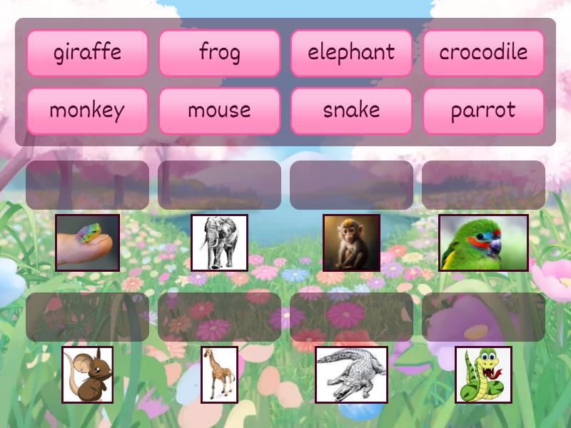 the sore paw - animals - Match up